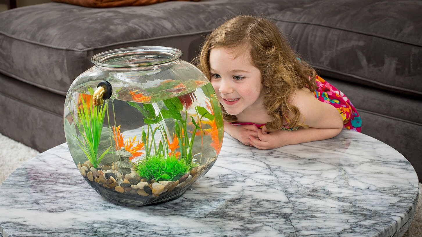 DIY Self Cleaning Conversion Kit for Anchor Hocking, 2 Gallon Fishbowl ...