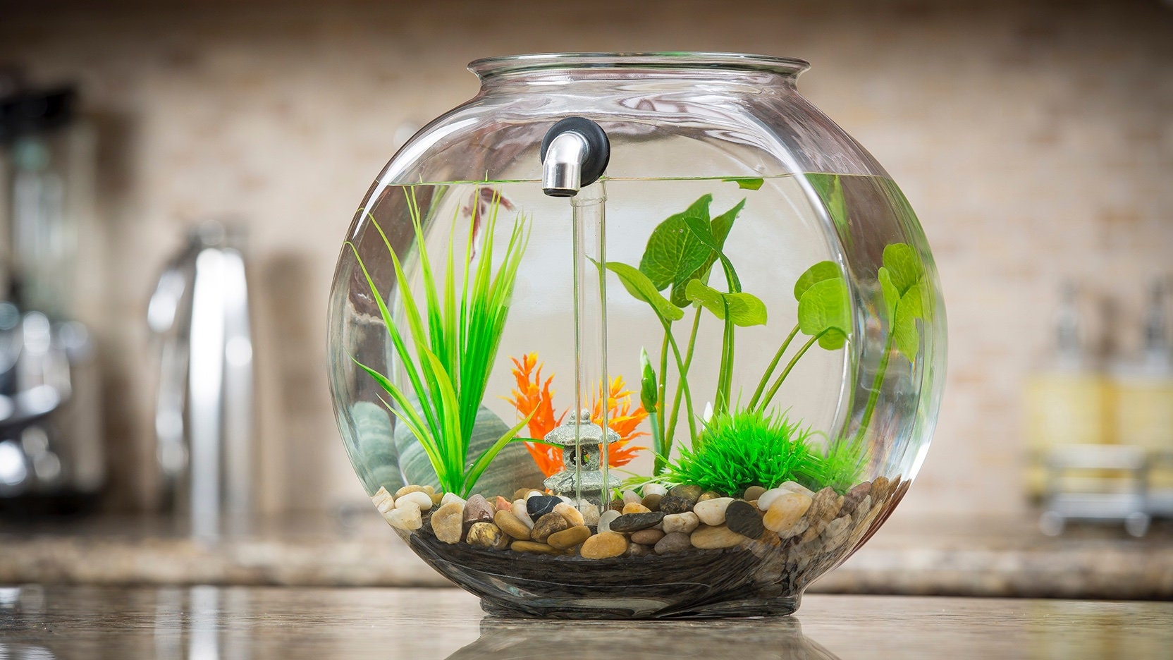 DIY Self Cleaning Conversion Kit for Anchor Hocking, 2 Gallon Fishbowl ...