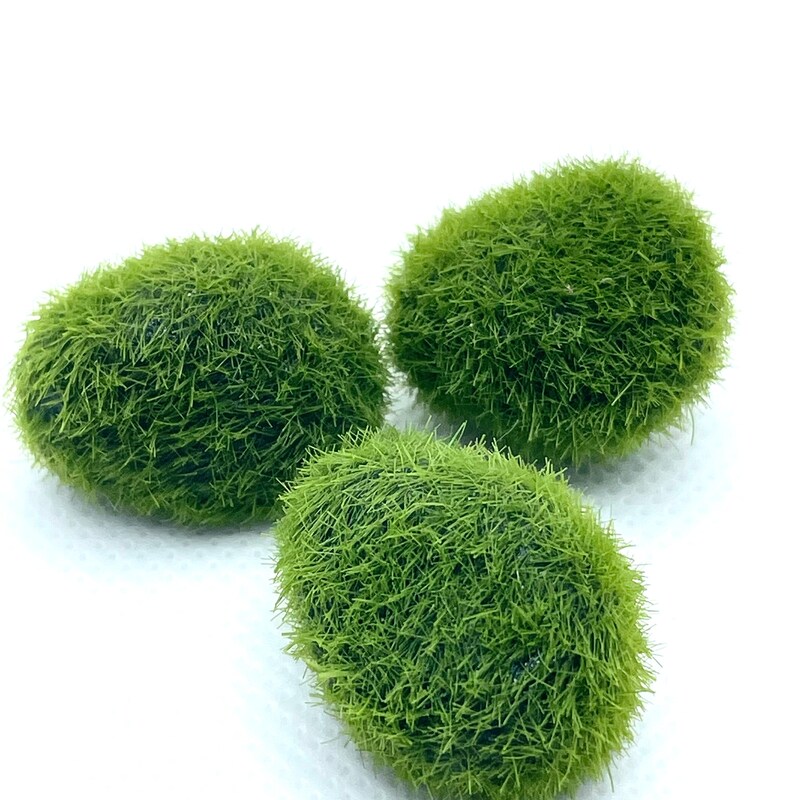 Moss Balls - Etsy