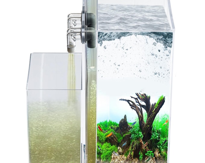 Lifewithpets 20 Gallon Long Tank Divider. Perfect for Betta Fish Tanks ...