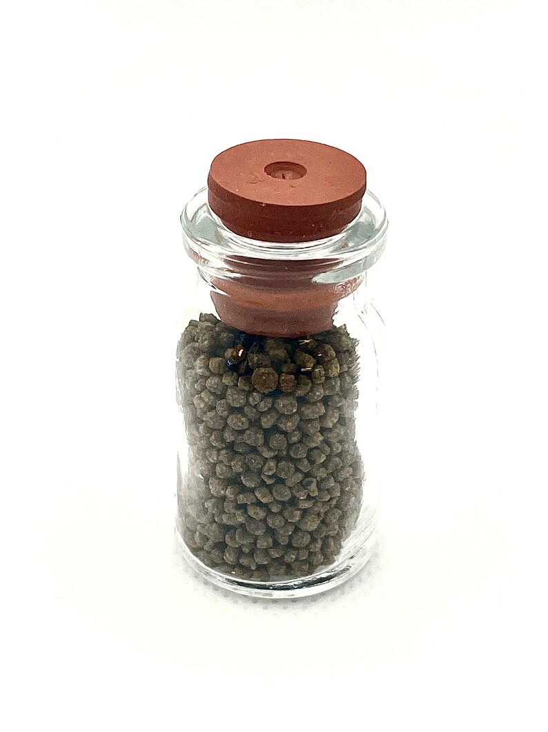 Self-cleaning Betta Fish Aquariums With LED River Stones - Etsy