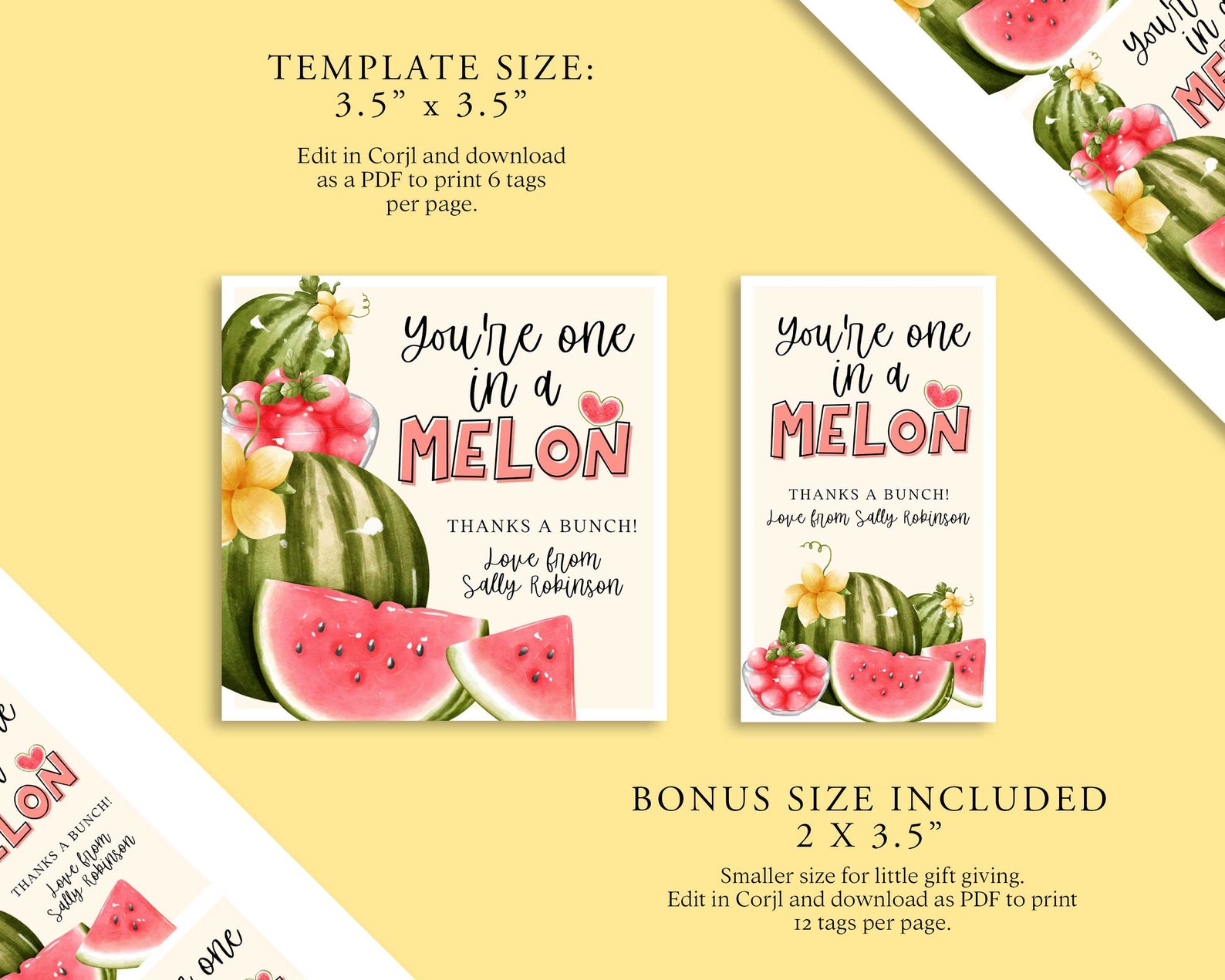 WATERMELON Appreciation Gift Tag, Teacher, Friends, Mothers Day ...