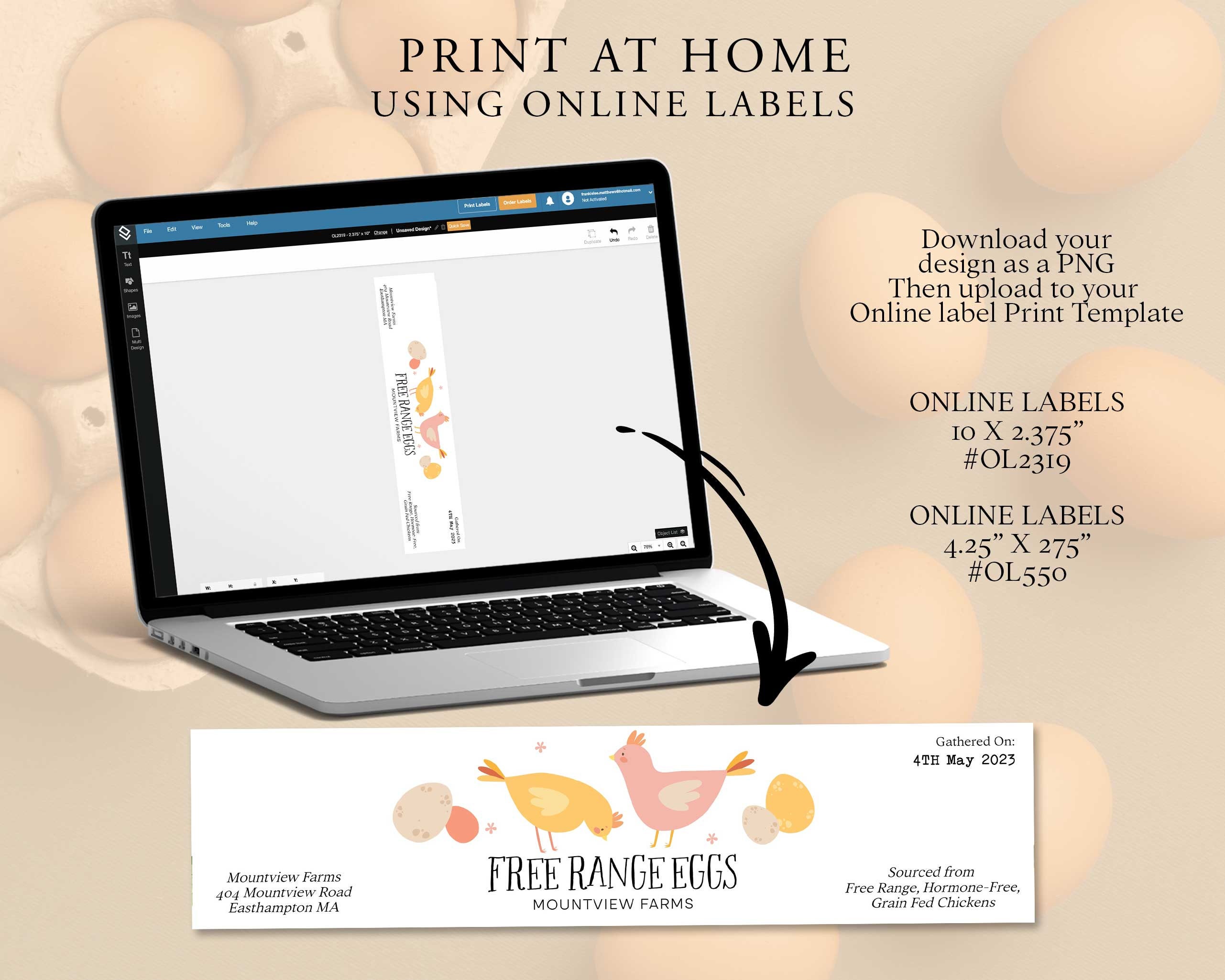 EGG CARTON Label Template, Free Range Egg Carton Label, Farmers Market ...