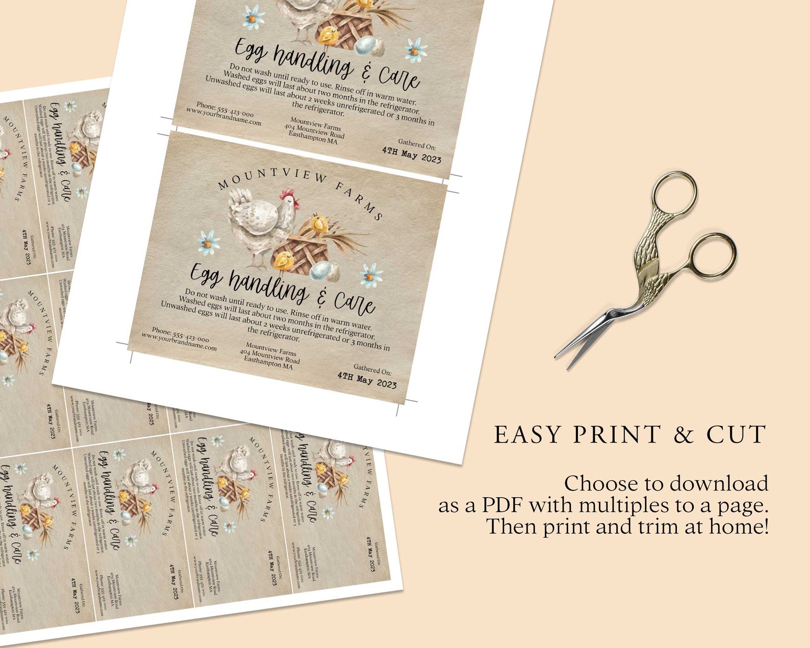 EGG HANDLING Instruction Card Template, Fresh Egg Care Label, Egg ...