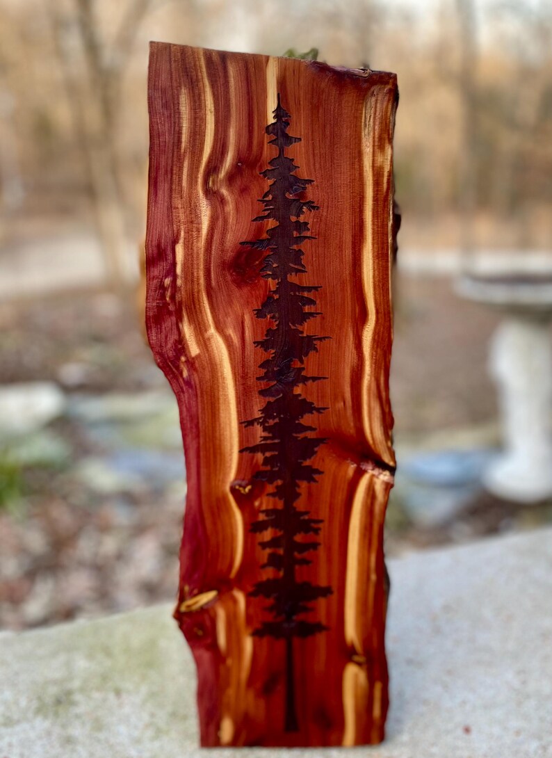 Live Edge Cedar Wall Art, From Reclaimed Cedar Driftwood, Engraved ...