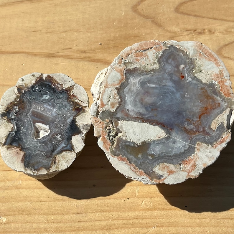 Updated Unopened Oregon Thunder Egg Variety Bag - Etsy