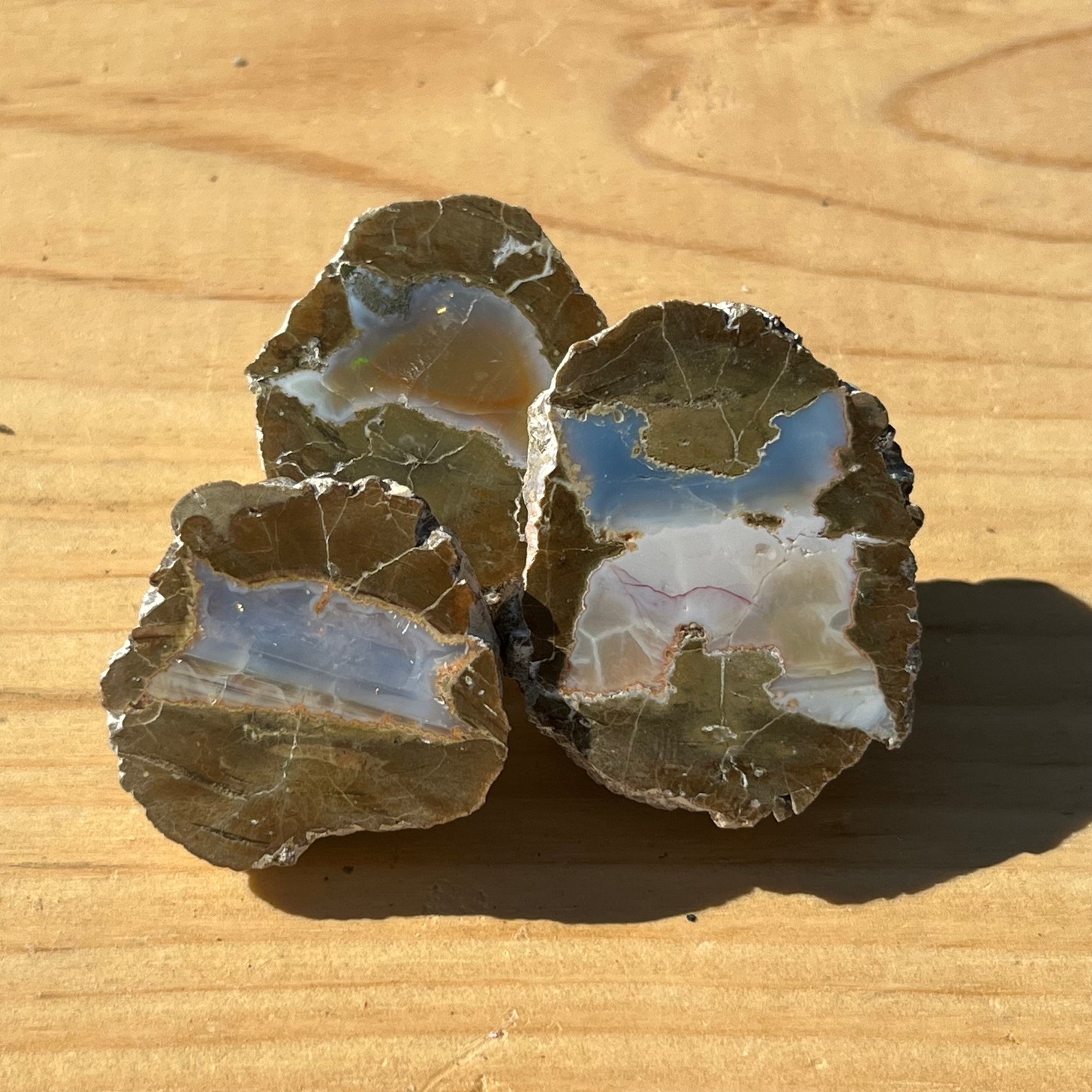 Updated Unopened Oregon Thunder Egg Variety Bag - Etsy