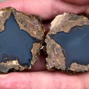 Updated! Unopened Oregon Thunder Egg Variety Bag - Etsy