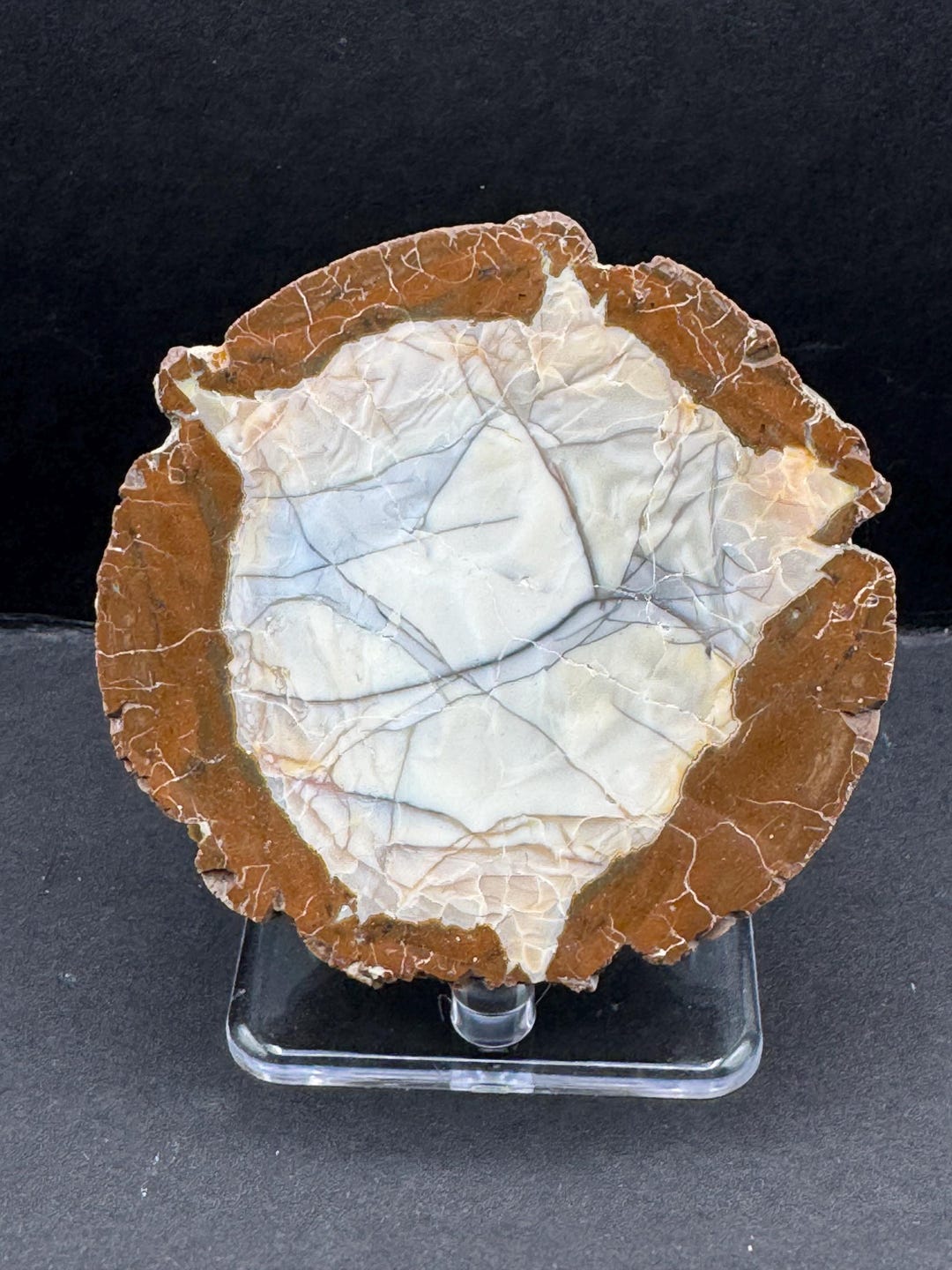 Oregon Opal Thunder Egg - Etsy