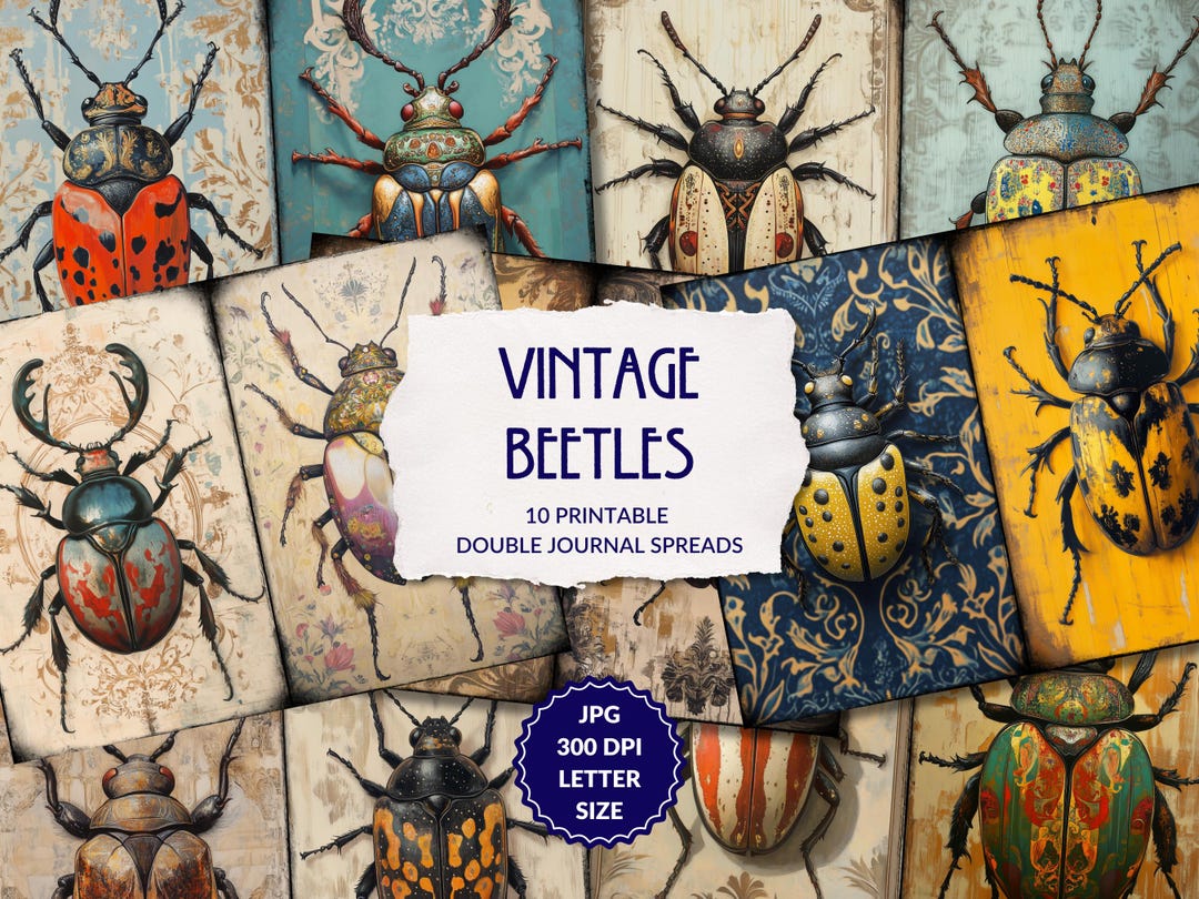 Vintage Beetle Journal Pages, Vintage Insects, Art Deco Beetle Ephemera ...