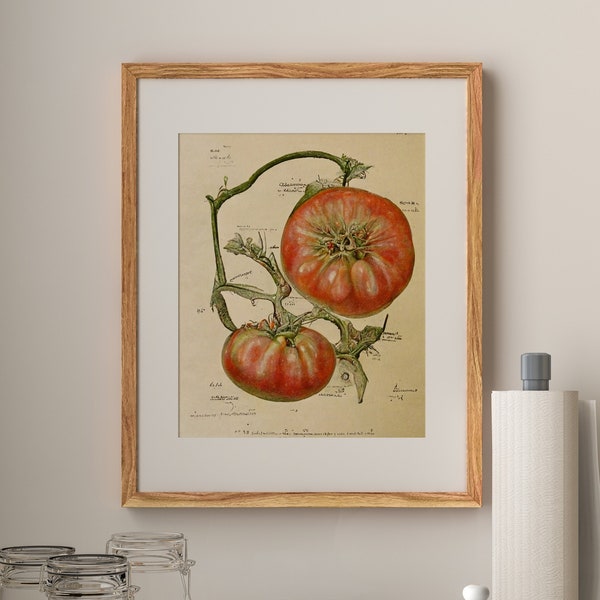 Scientific Illustration Prints - Etsy