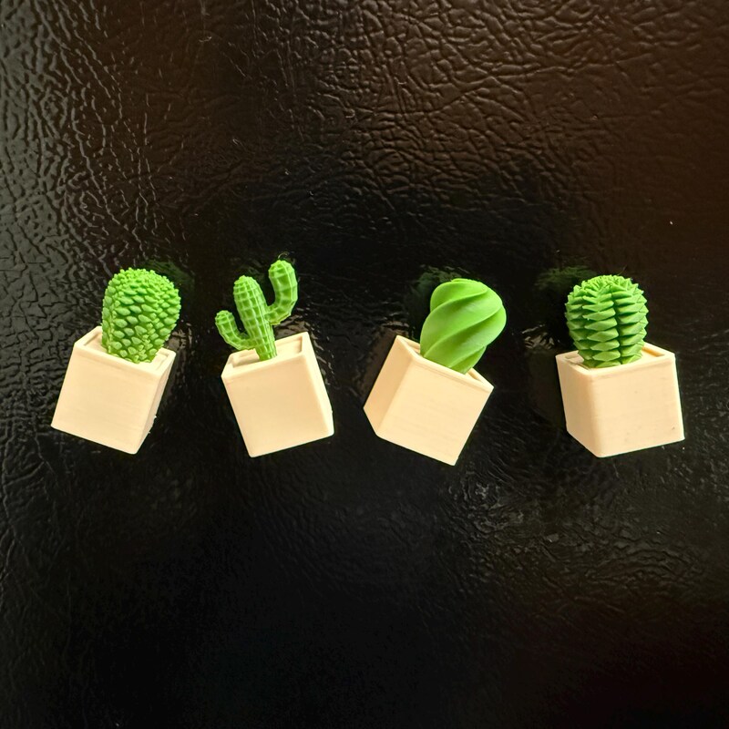 Succulent Magnet - Etsy