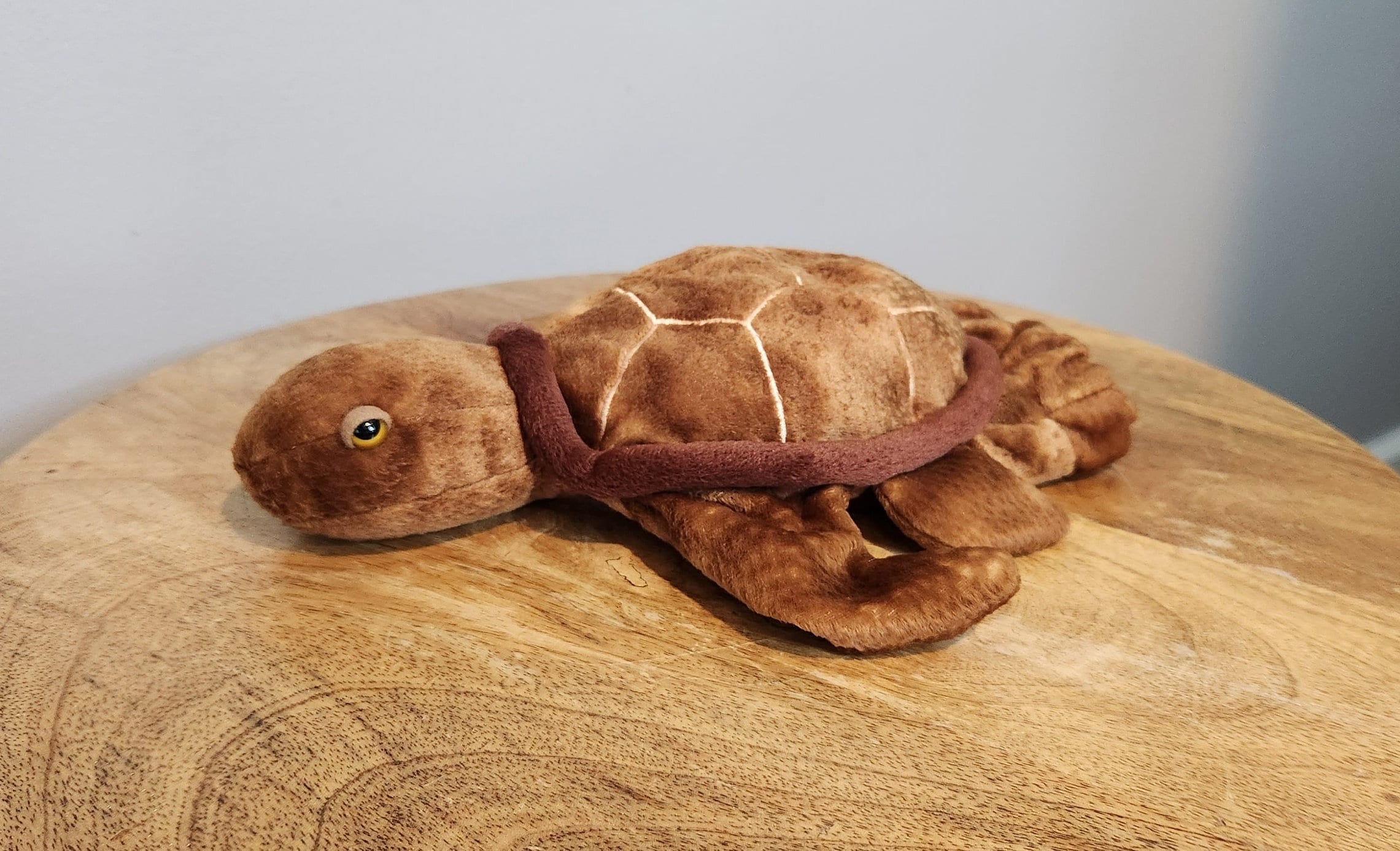 Caltoy Brown Sea Turtle Handpuppet Huggable Plush Loggerhead - Etsy
