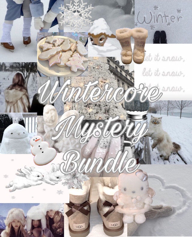 Wintercore Mystery Bundle Jewelry Bundle Early 2000s Style Necklace Bracelet Phonecharm Earrings ...