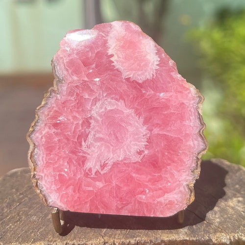 Rocks & Geodes Tiny Rhodochrosite Turtle Home Décor Home & Living etna ...