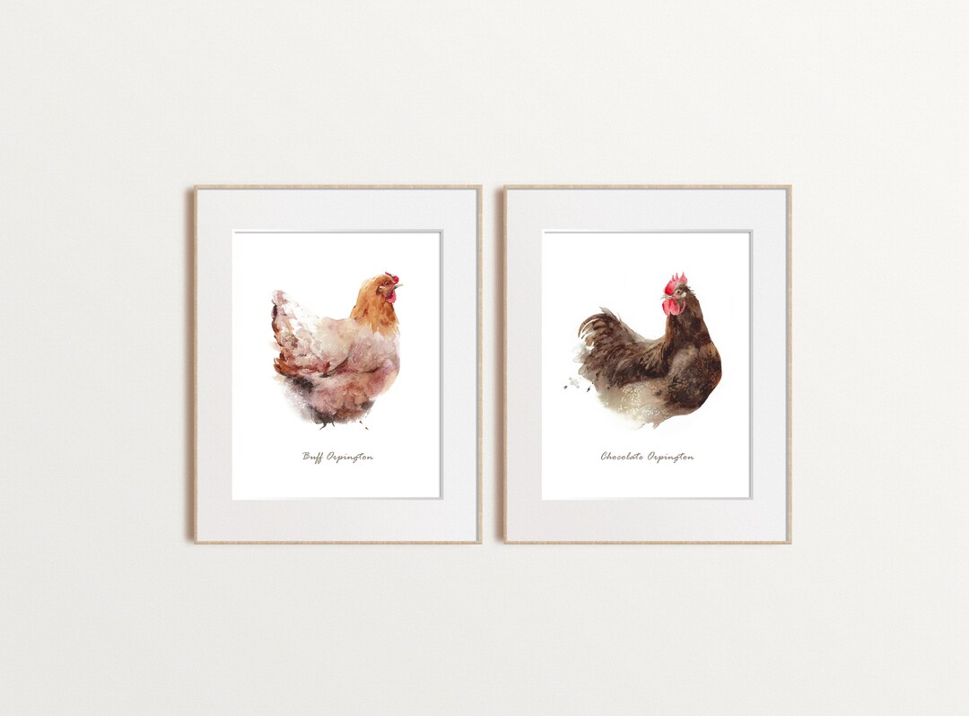 Set of 2 Chickens Watercolor Prints, Farm Animal Wall Art, Farmhouse ...