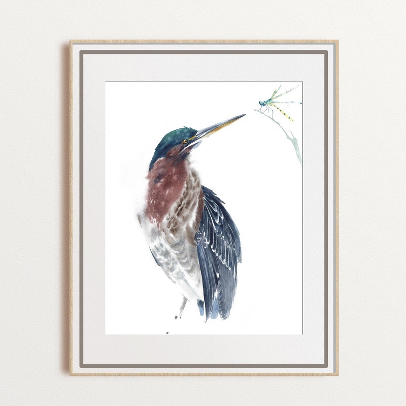 Florida Bird Art - Etsy