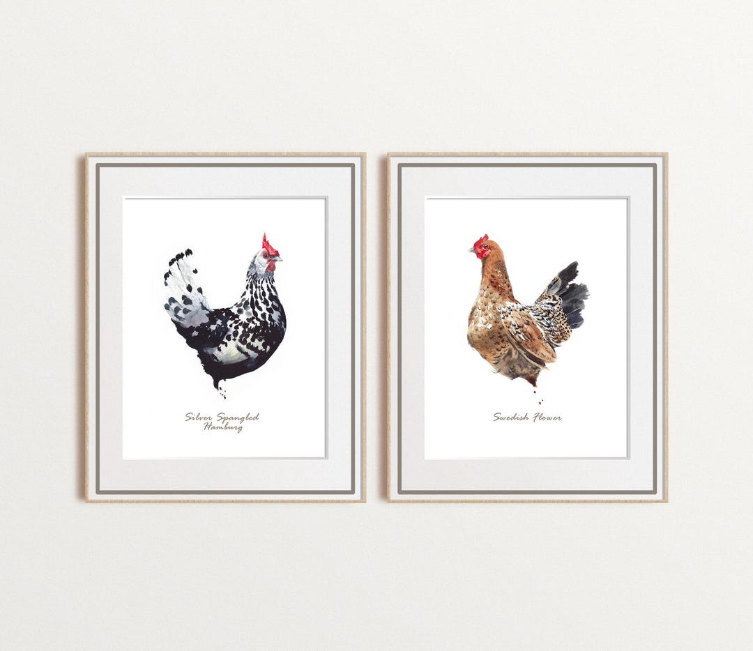 Chicken Watercolor Prints: Farmhouse Kitchen Wall Art Set - Etsy
