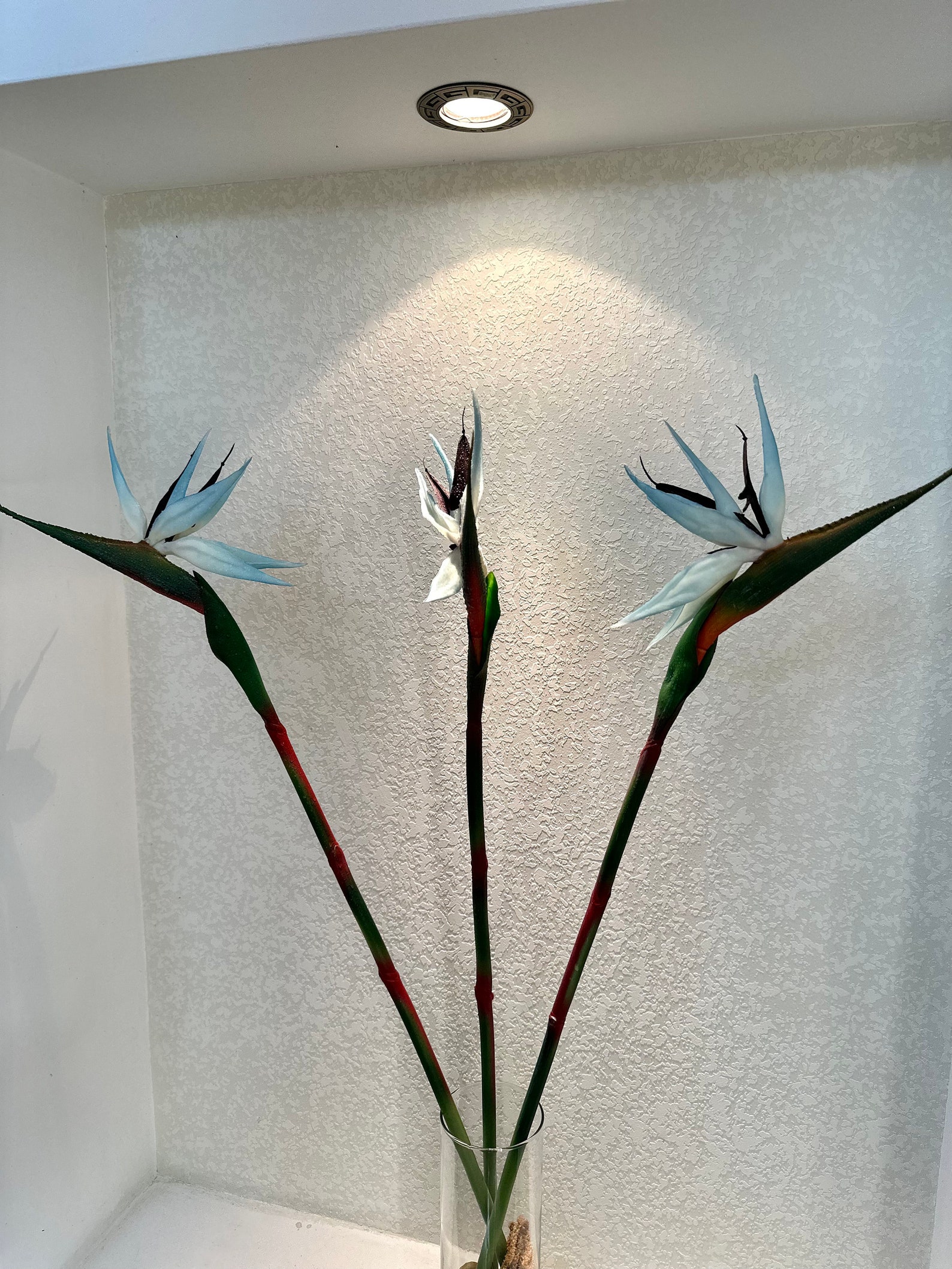 Real Touch Bird of Paradise Stem, Fake Silicone Strelitzia Blue, High ...