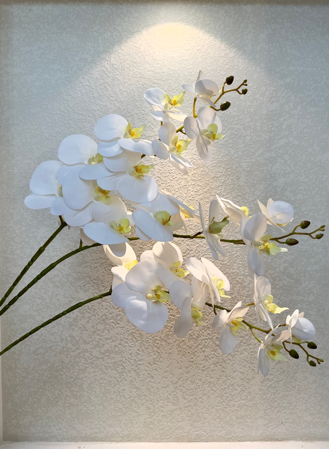 White Orchids Real Touch Flower, 9 Heads Silk Orchids, DIY Artificial ...