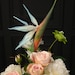 Real Touch Bird of Paradise Stem Premium Fake Red Strelitzia Artificial ...