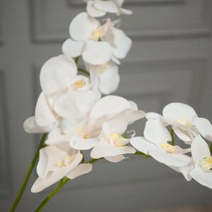 Real Touch 9 Head Orchid Flower Stem Long Orchid Artificial Flowers ...