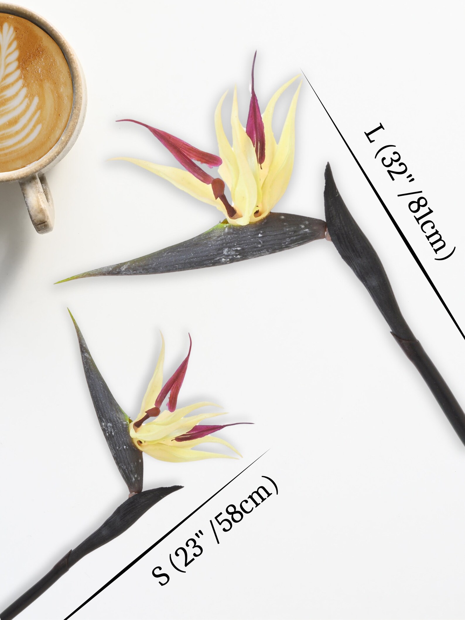 Real Touch Bird of Paradise Stem, Fake Silicone Strelitzia Long, 4pcs ...