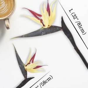 Real Touch Bird of Paradise Stem, Fake Silicone Strelitzia Long, 4pcs ...