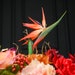 Real Touch Bird of Paradise Stem, Fake Silicone Strelitzia Long, 4pcs ...