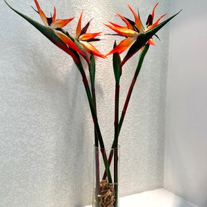 Real Touch Bird of Paradise Stem, Fake Silicone Strelitzia Blue, High ...