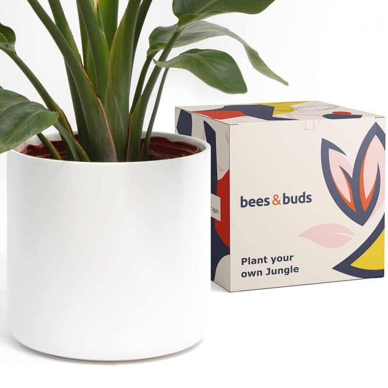 White Planter - Etsy