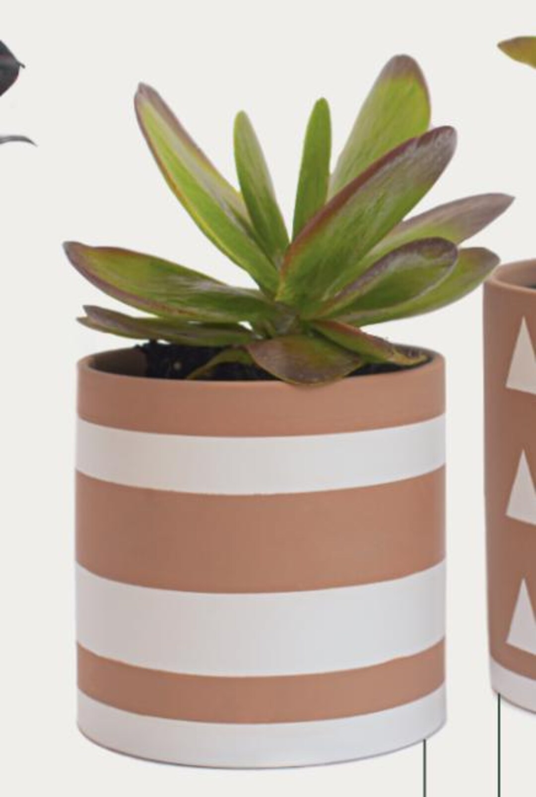 Terracotta Stripes Plant Pot 10 Inch - Terracotta Stripes Planters for ...