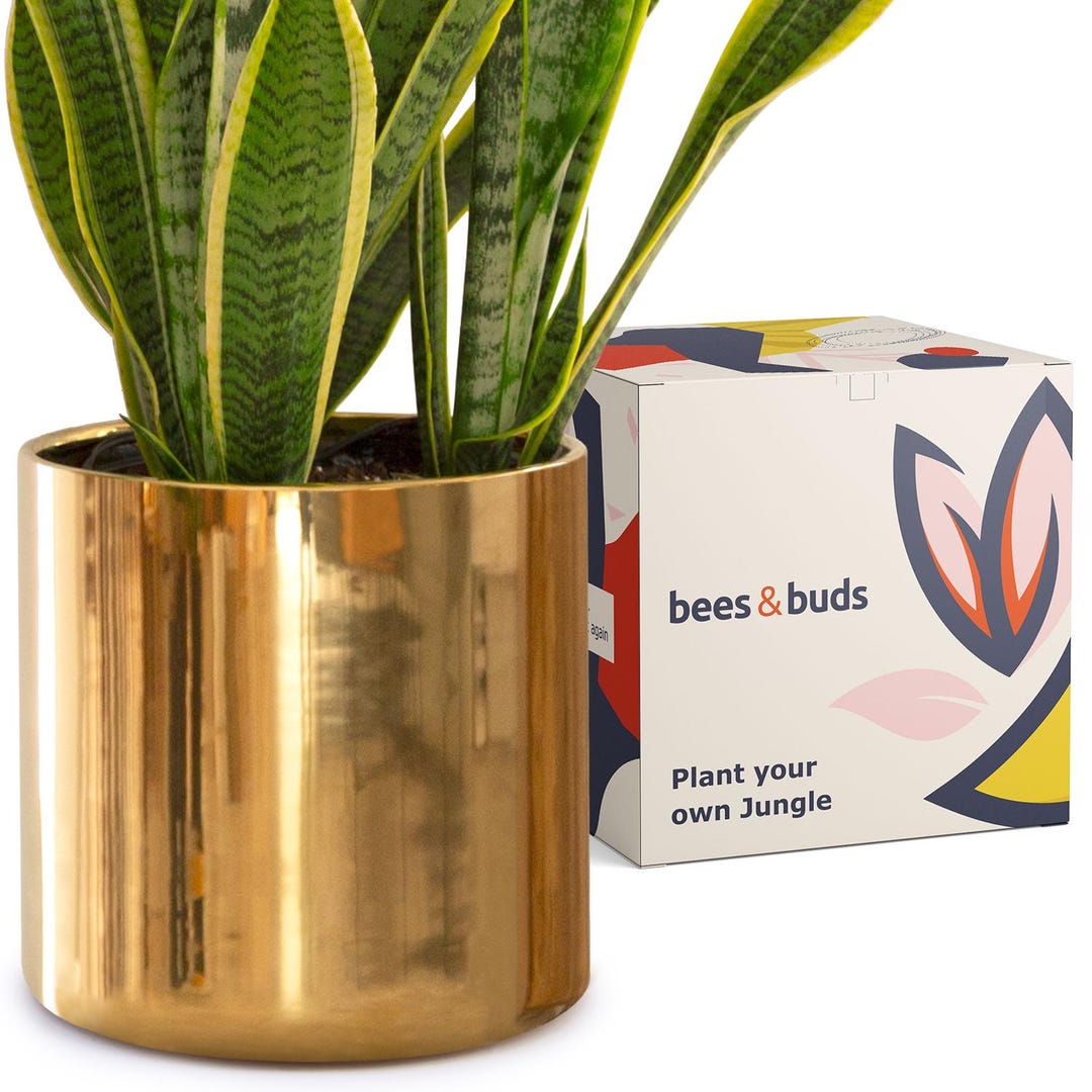 GOLD Plant Pot 10 Inch - Gold Planters for Indoor Plants - Ceramic ...