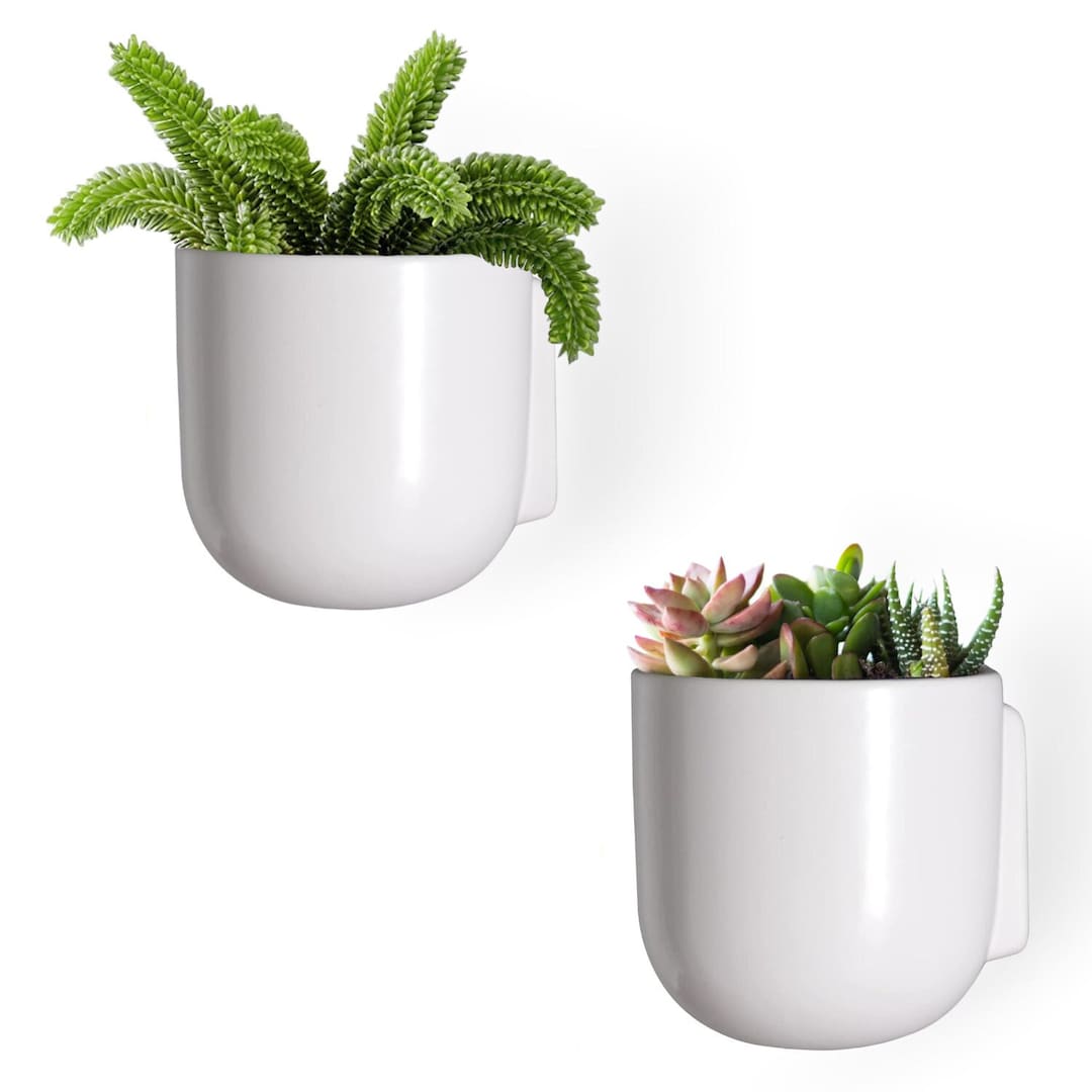 Wall Hanging Succulent Planter - Wall Decor Mounted Plant Hanger Holder ...