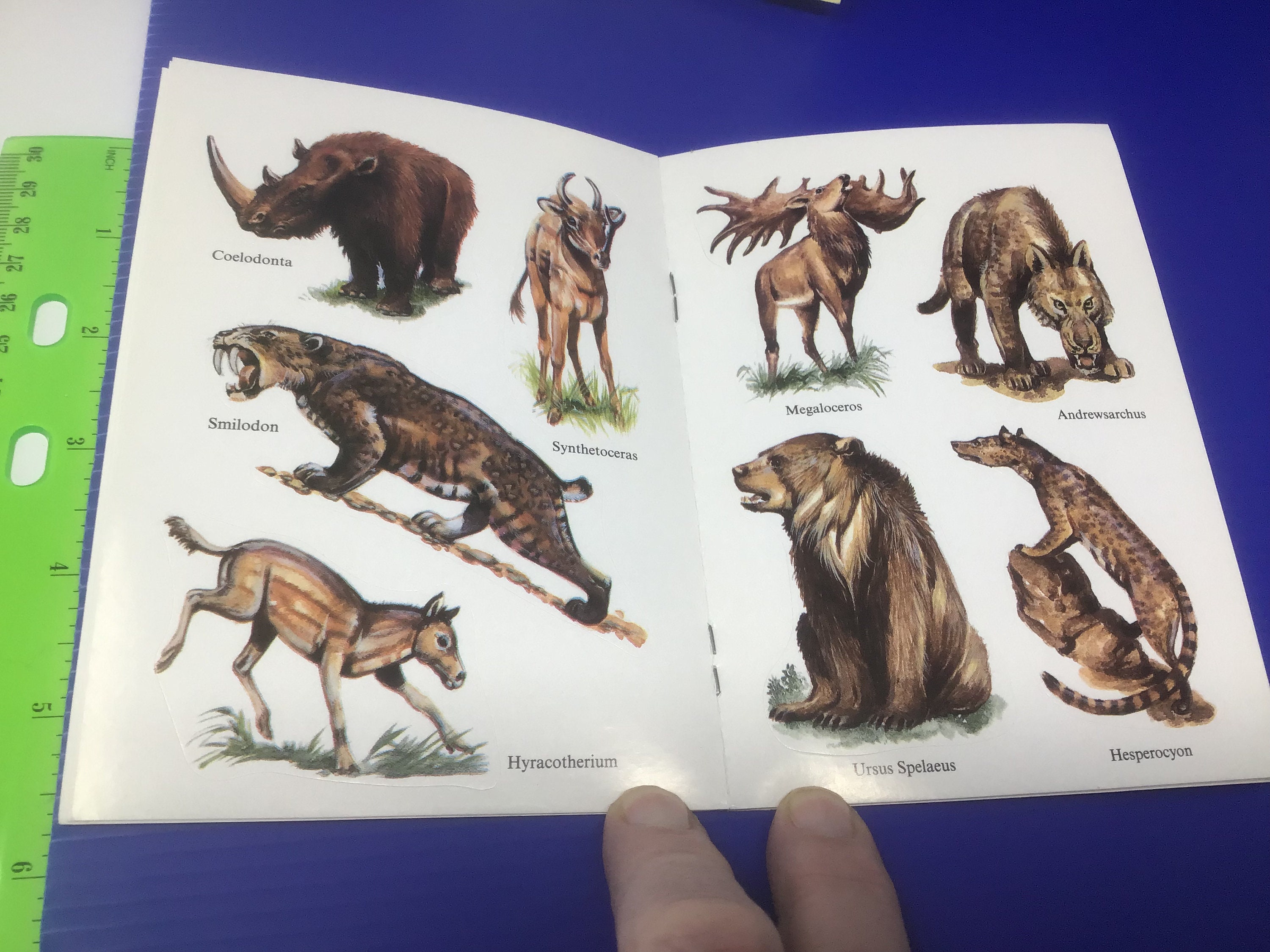 Prehistoric Animals Stickers - Etsy