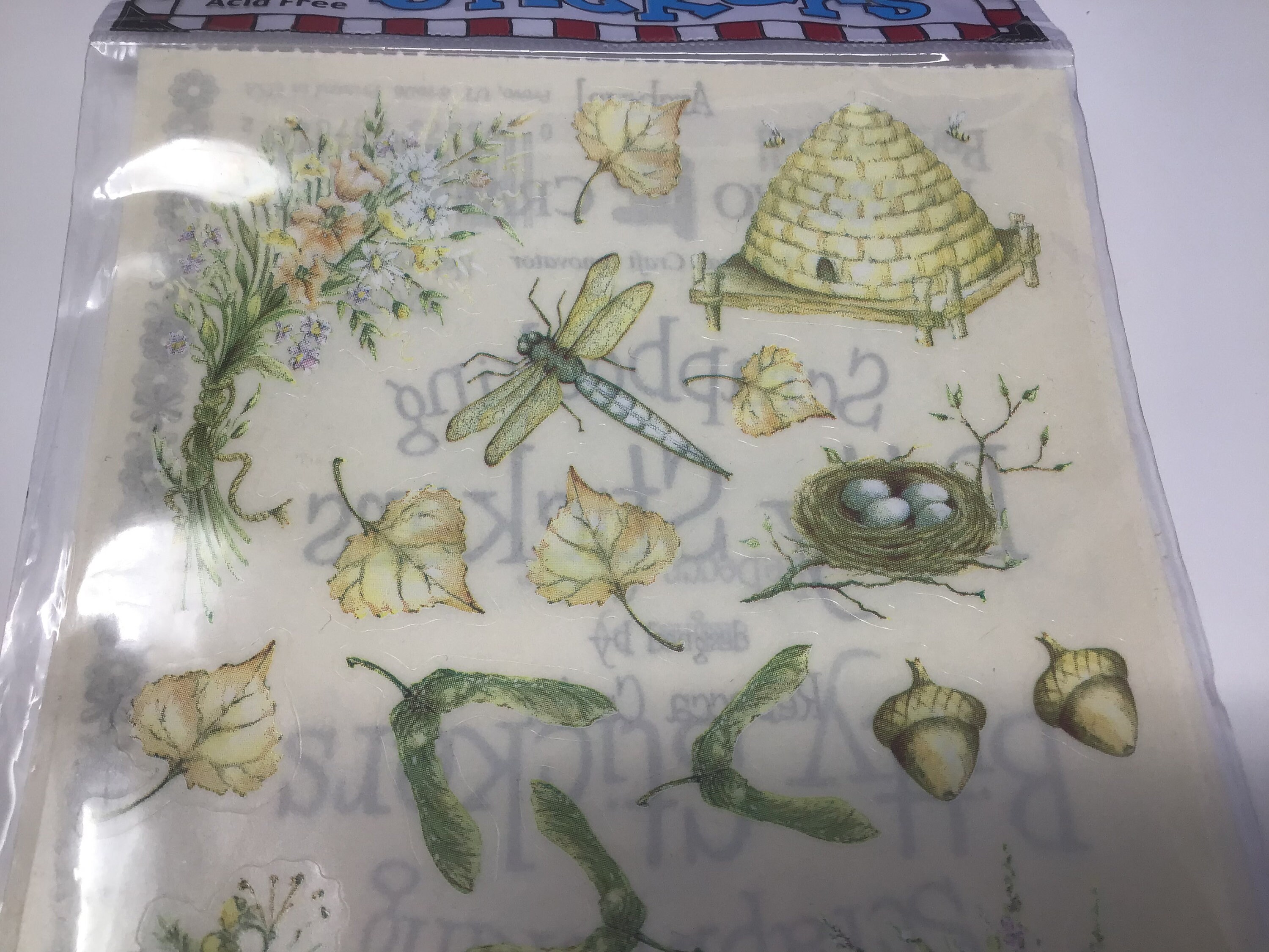 Vintage Unopened clear Back Stickers Leaves Acorn - Etsy