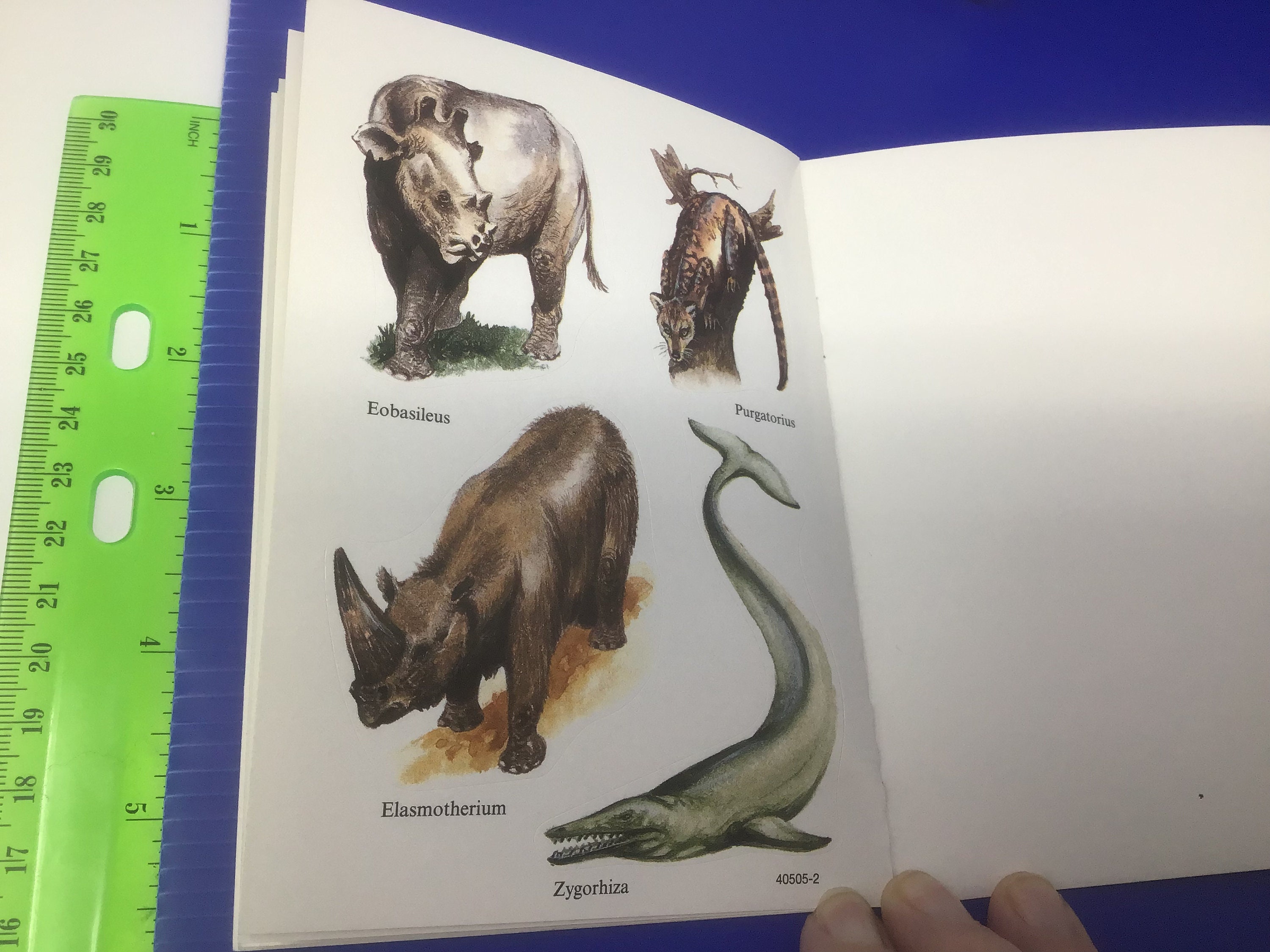 Prehistoric Animals Stickers - Etsy