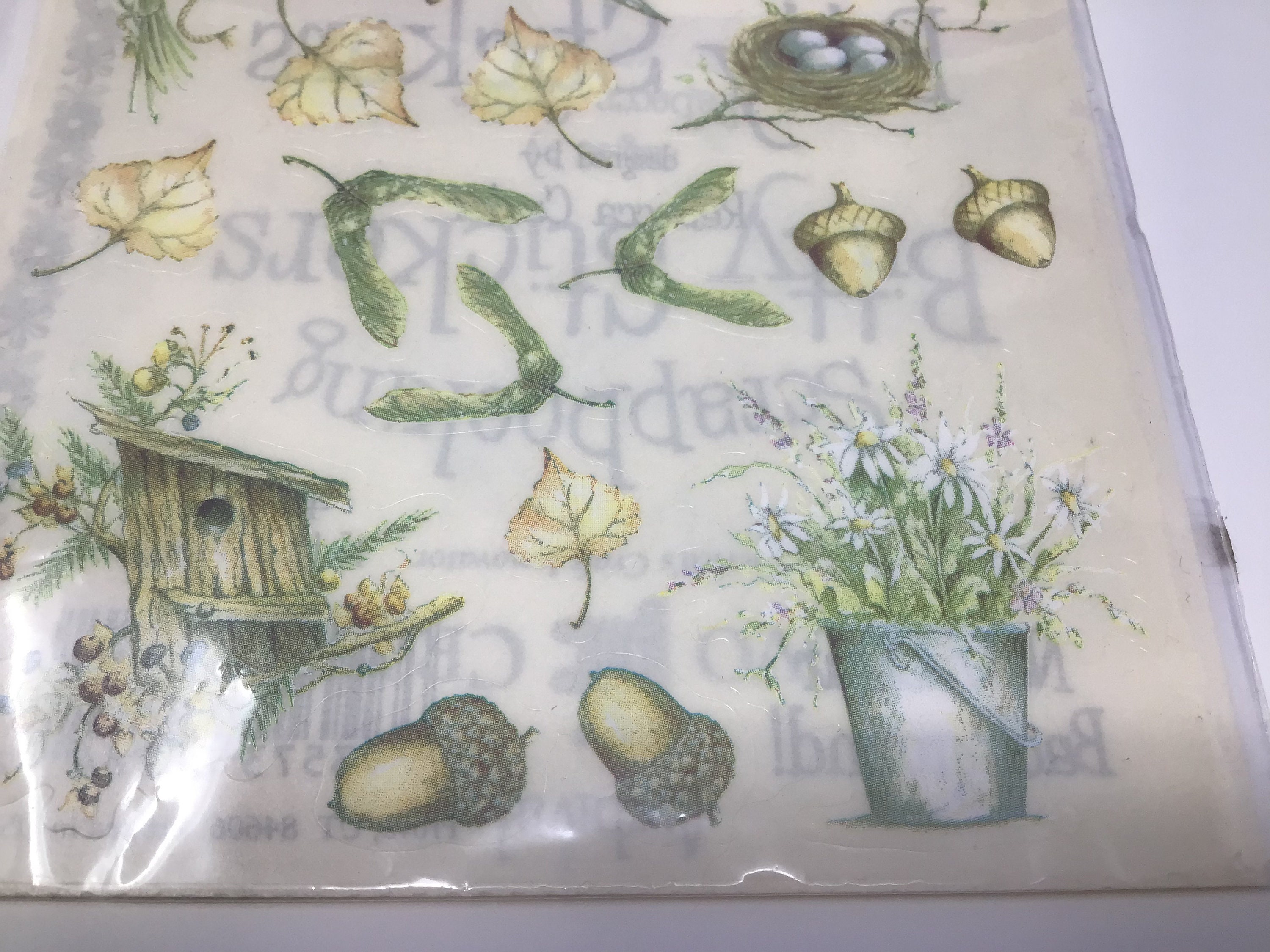 Vintage Unopened clear Back Stickers Leaves Acorn - Etsy