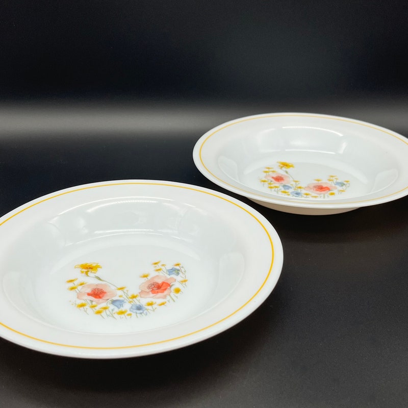 Arcopal Dinnerware - Etsy