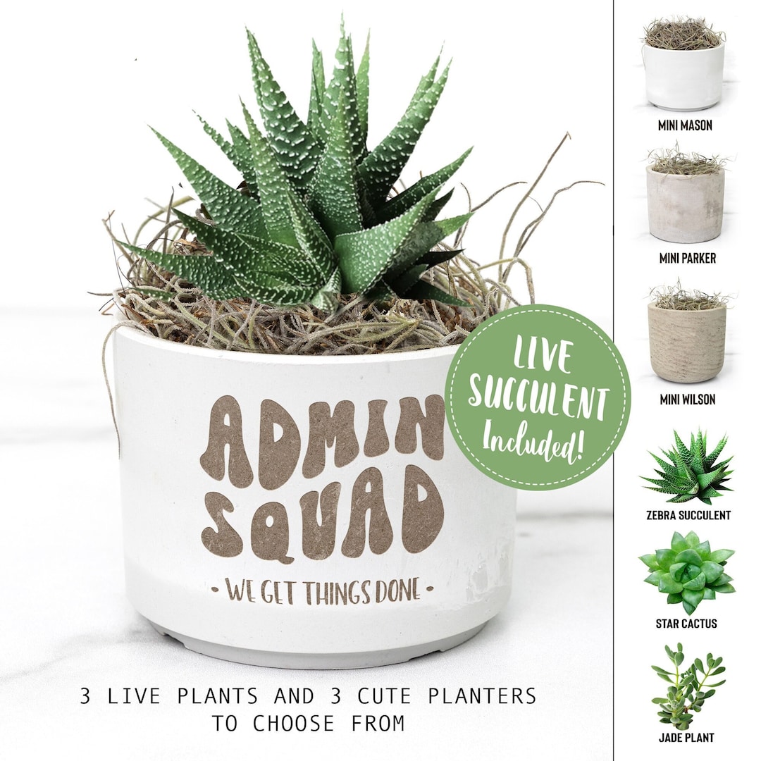 Secretaries Day Gifts, Admin Squad, Succulent Planter Box, Desktop ...