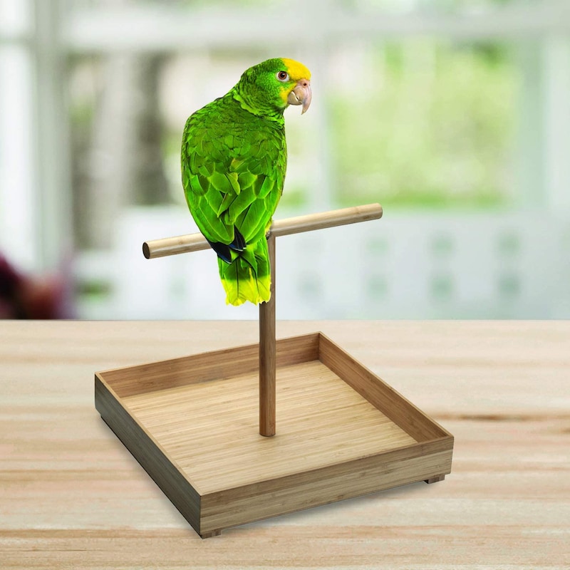 Bird Stand - Etsy