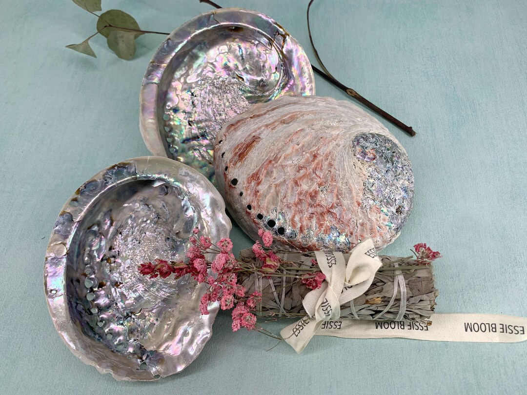 Natural Abalone Shell, Large, Ethically-sourced, Use for Smudge Sticks ...
