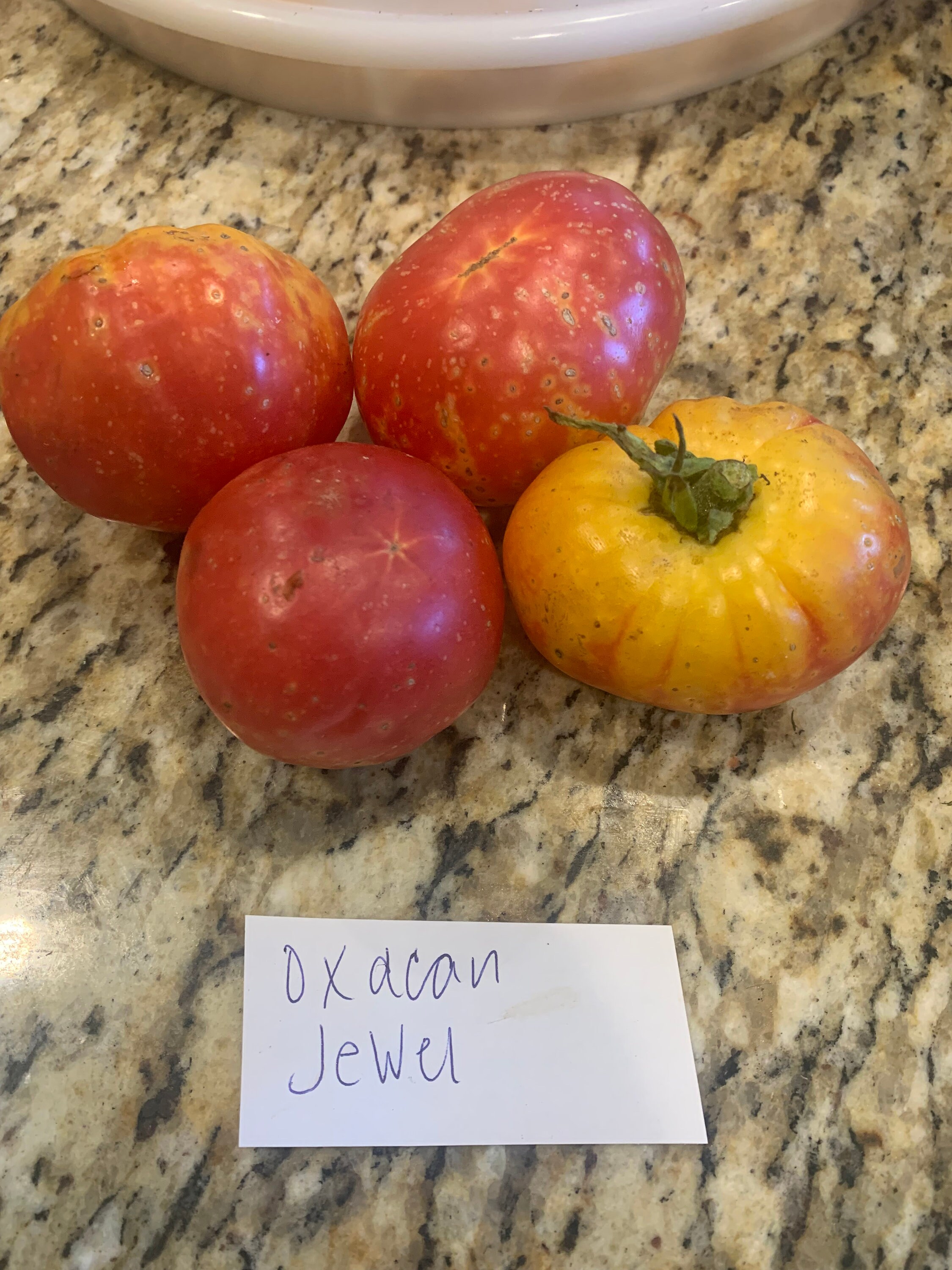 Oaxacan Jewel Tomato - Etsy