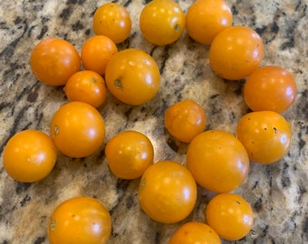 Jochalos Micro Dwarf Tomato Seeds - Etsy