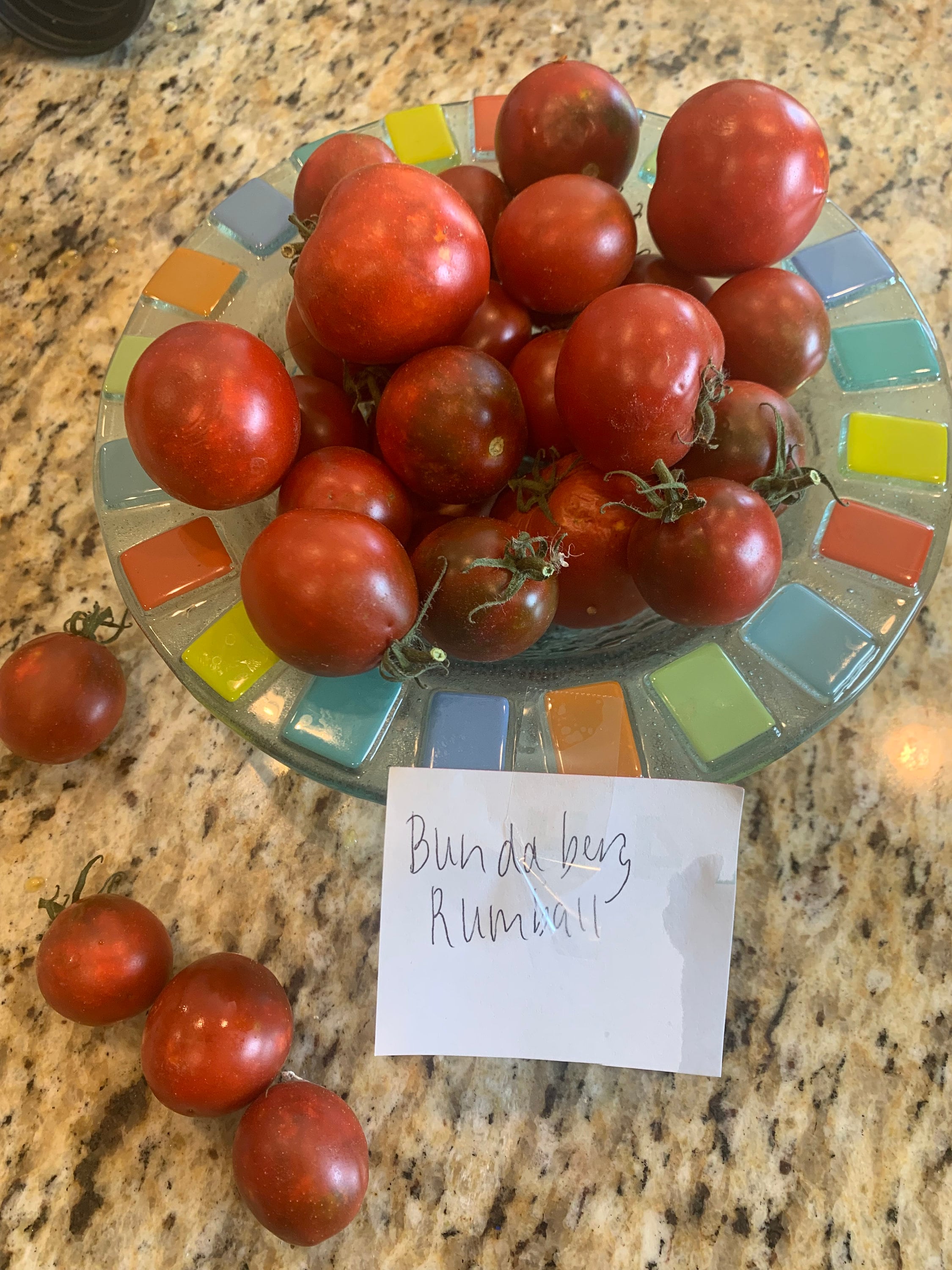 Bundaberg Rumball Dwarf Tomato - Etsy