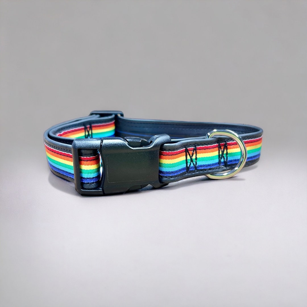 Inner Tube Dog Collar, Up-cycled Bike Tube - Etsy
