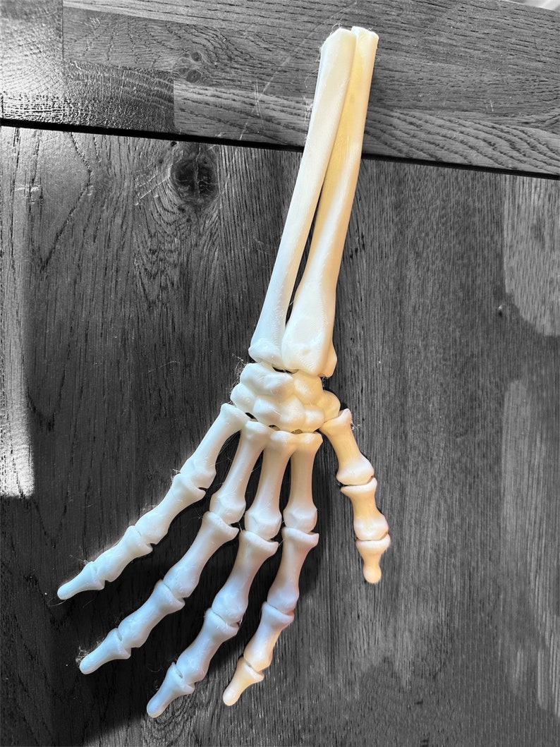 Articulated Skeleton Hand - Etsy