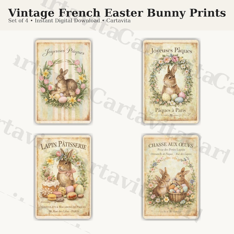 French Rabbit Image - Etsy