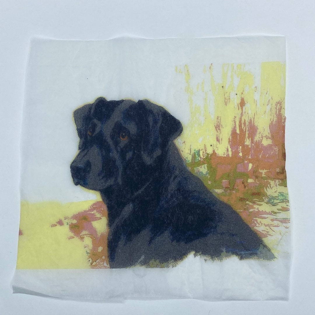Decoupage Rice or Tissue Paper, Black Labrador Retriever, Black Lab Dog ...