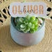 Sticker Name/ Custom Name/ Cute Name/ Personalized Name/name Decal - Etsy